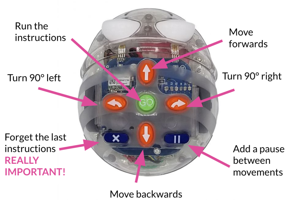 Programming Turning - teachictnt.org.uk